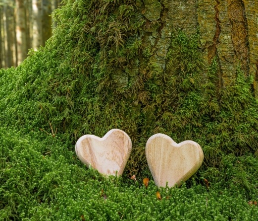 Tree Pod Burial - Planet Friendly Funerals